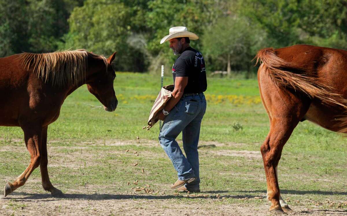 Willis nonprofit Cherokee Outlaw Ranch uses horses to help with trauma