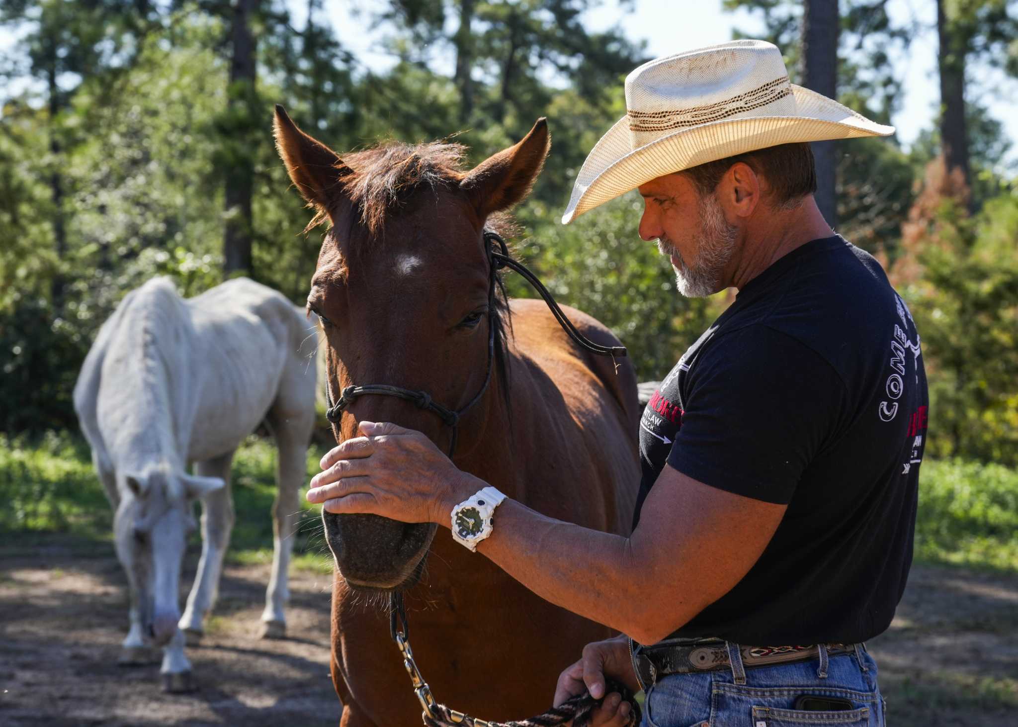 Willis nonprofit Cherokee Outlaw Ranch uses horses to help with trauma