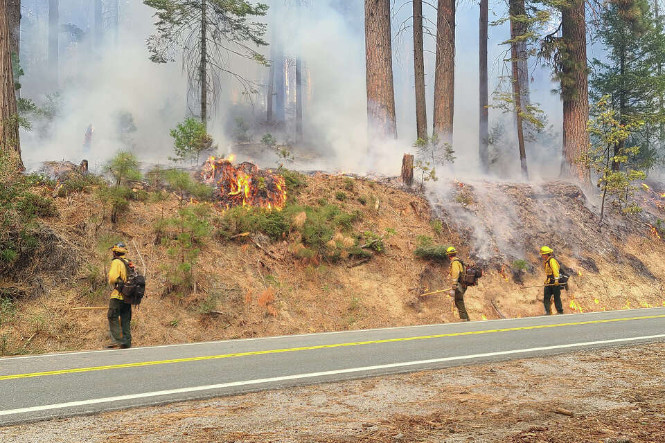 California's famed 'Orphans' have survived after all