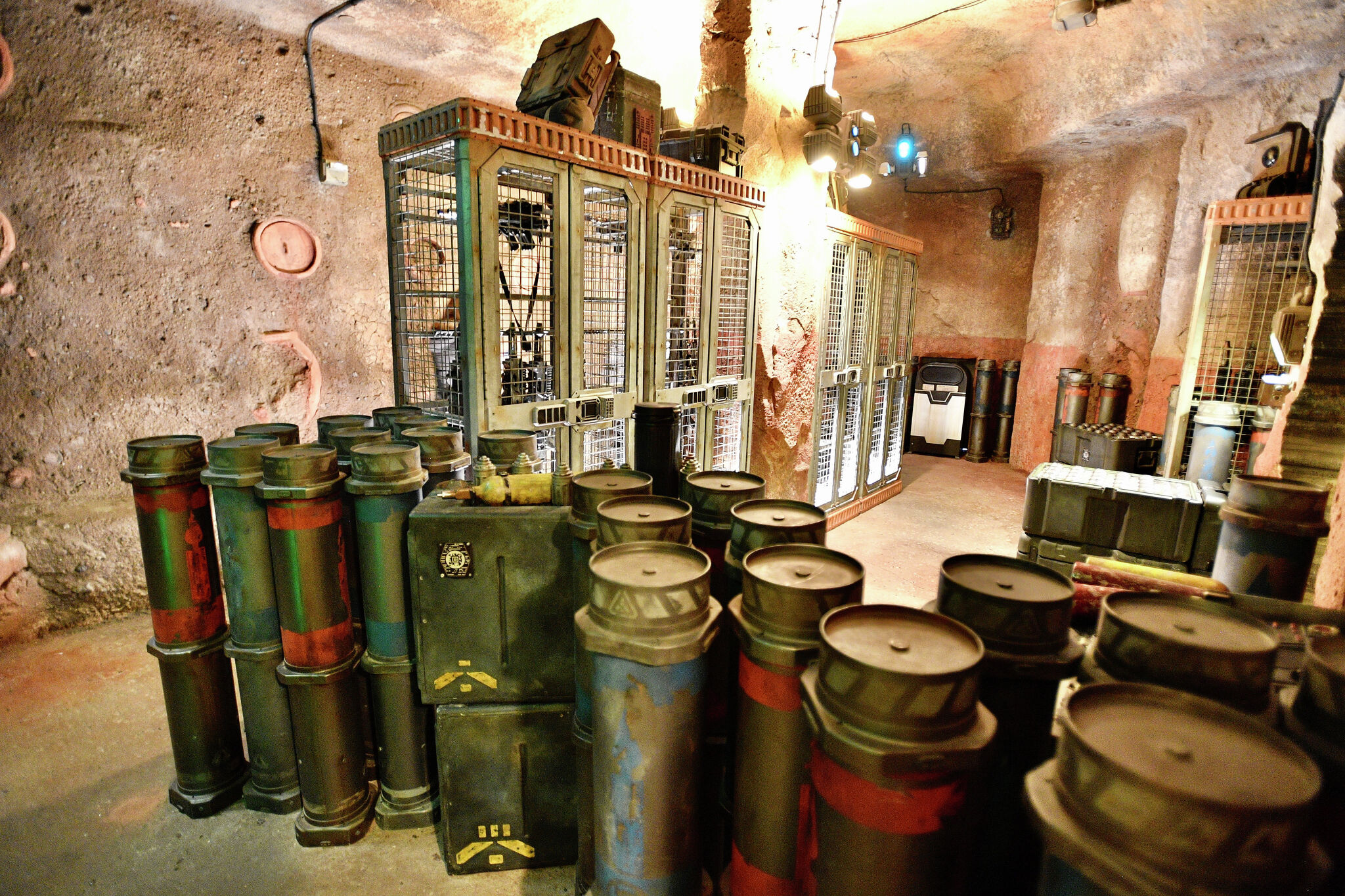 The Disneyland and Disney World poop rumors are true