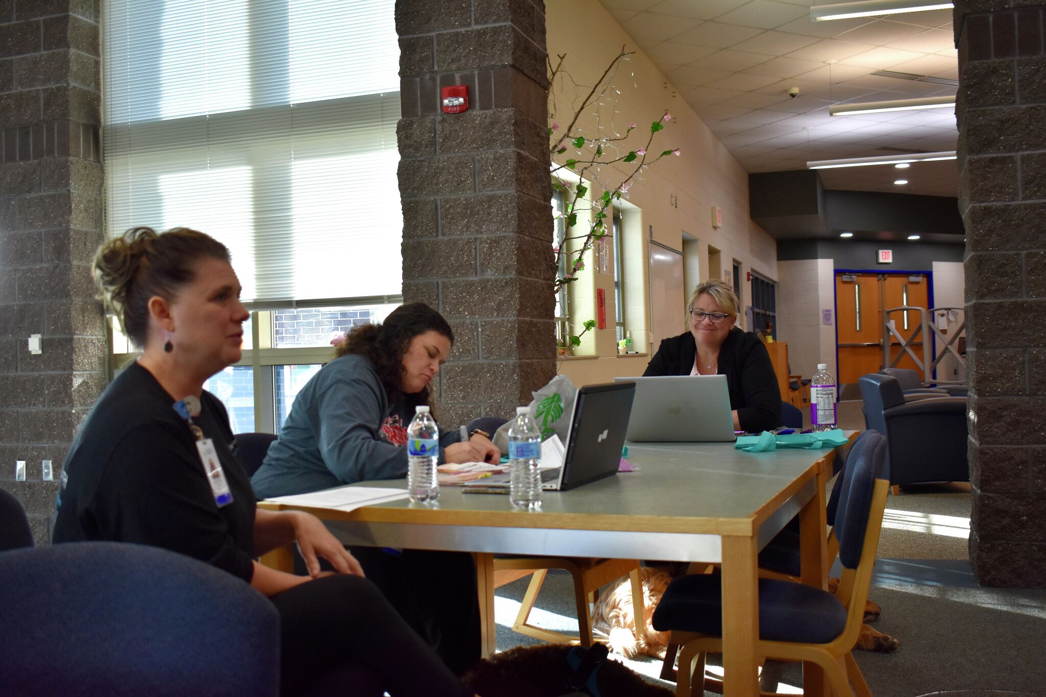 Chippewa Hills Wellness Center growing impact, student visits