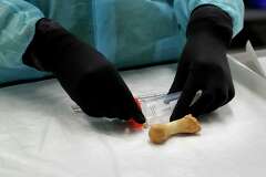 6 cold cases solved by Woodlands-based forensics lab Othram since 2019