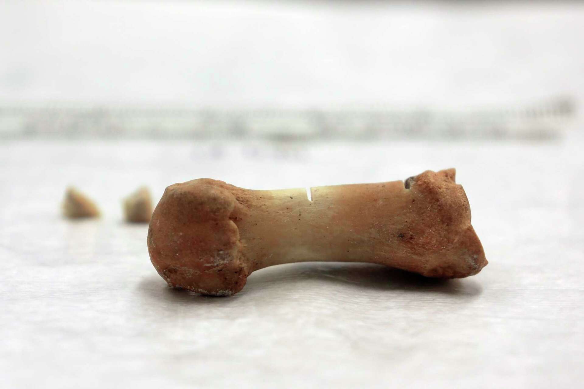 6 cold cases solved by Woodlands-based forensics lab Othram since 2019