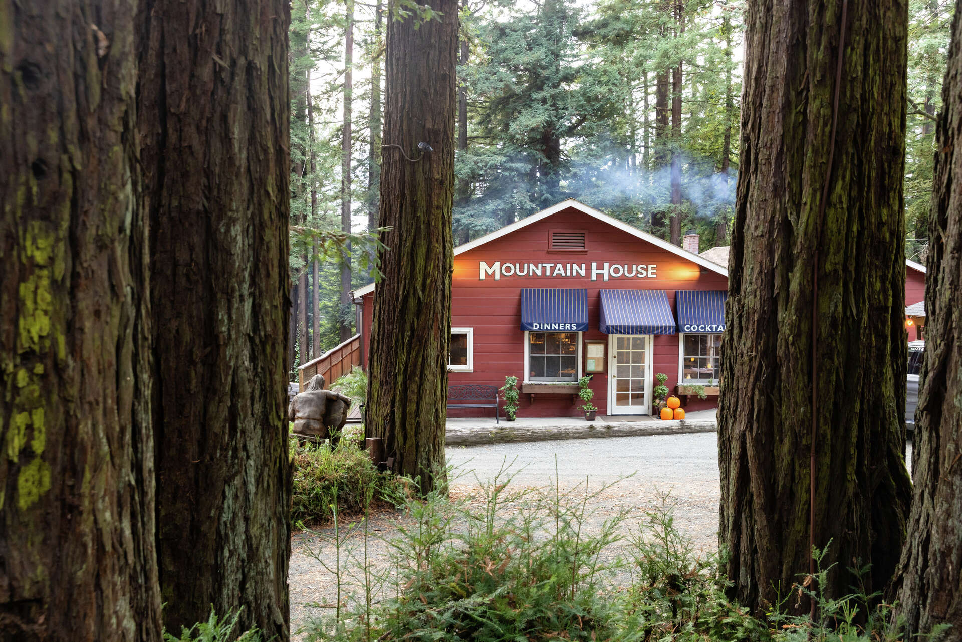 They leased a restaurant in a Bay Area forest. Next up: Michelin star.