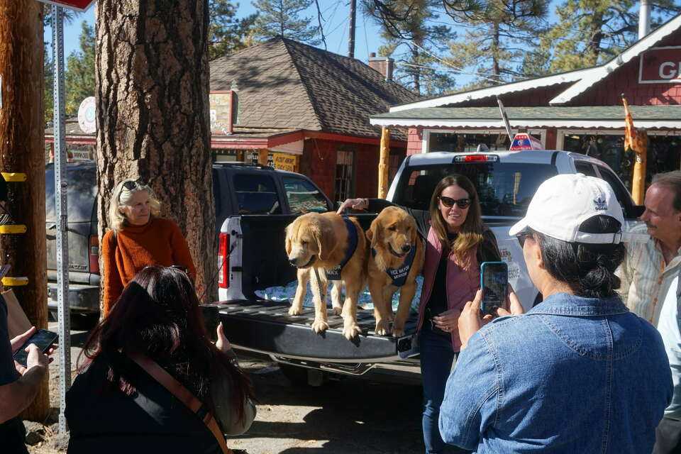 The California town that has a dog for a mayor