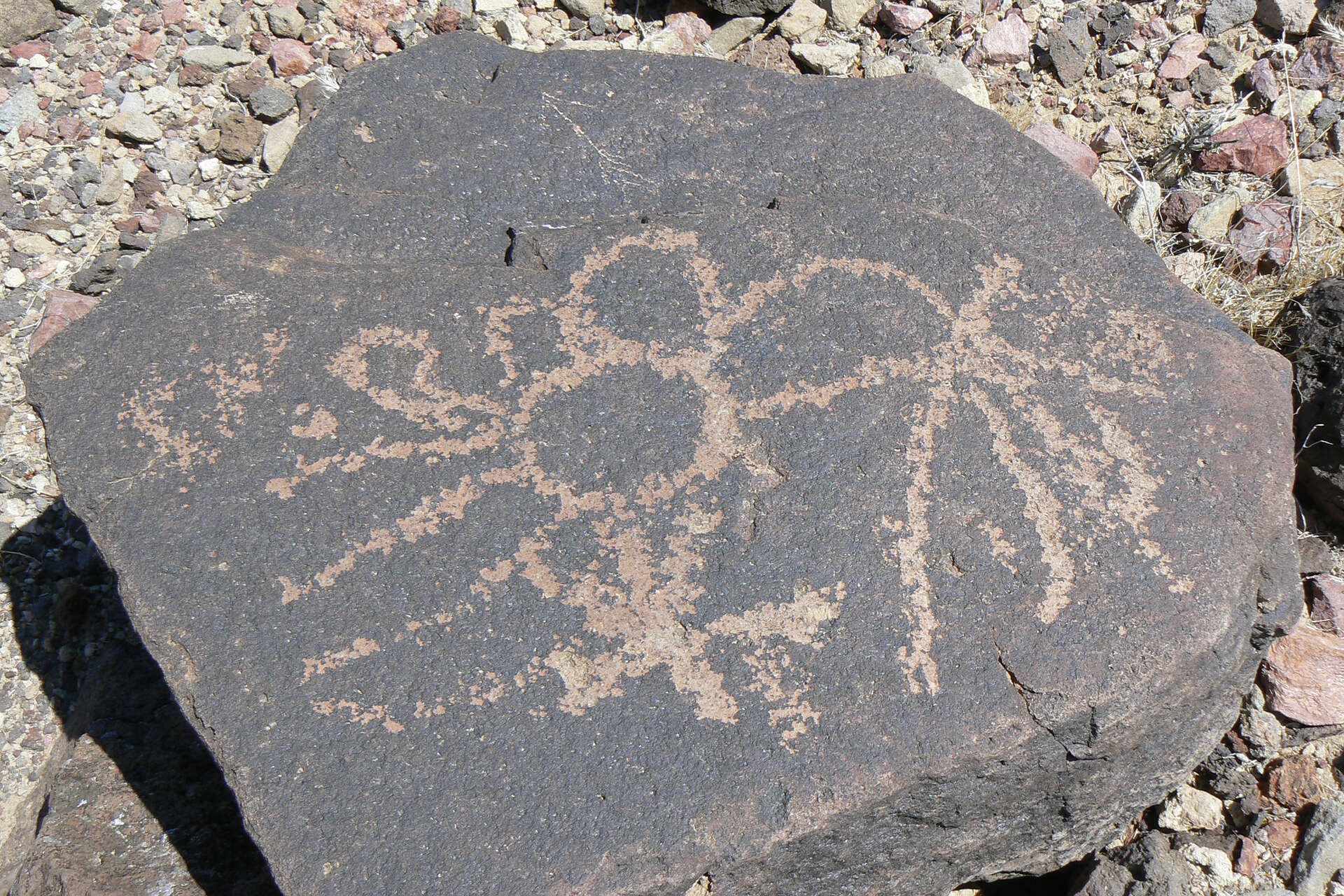 The ‘quirkiest thing’ researchers found buried in Death Valley