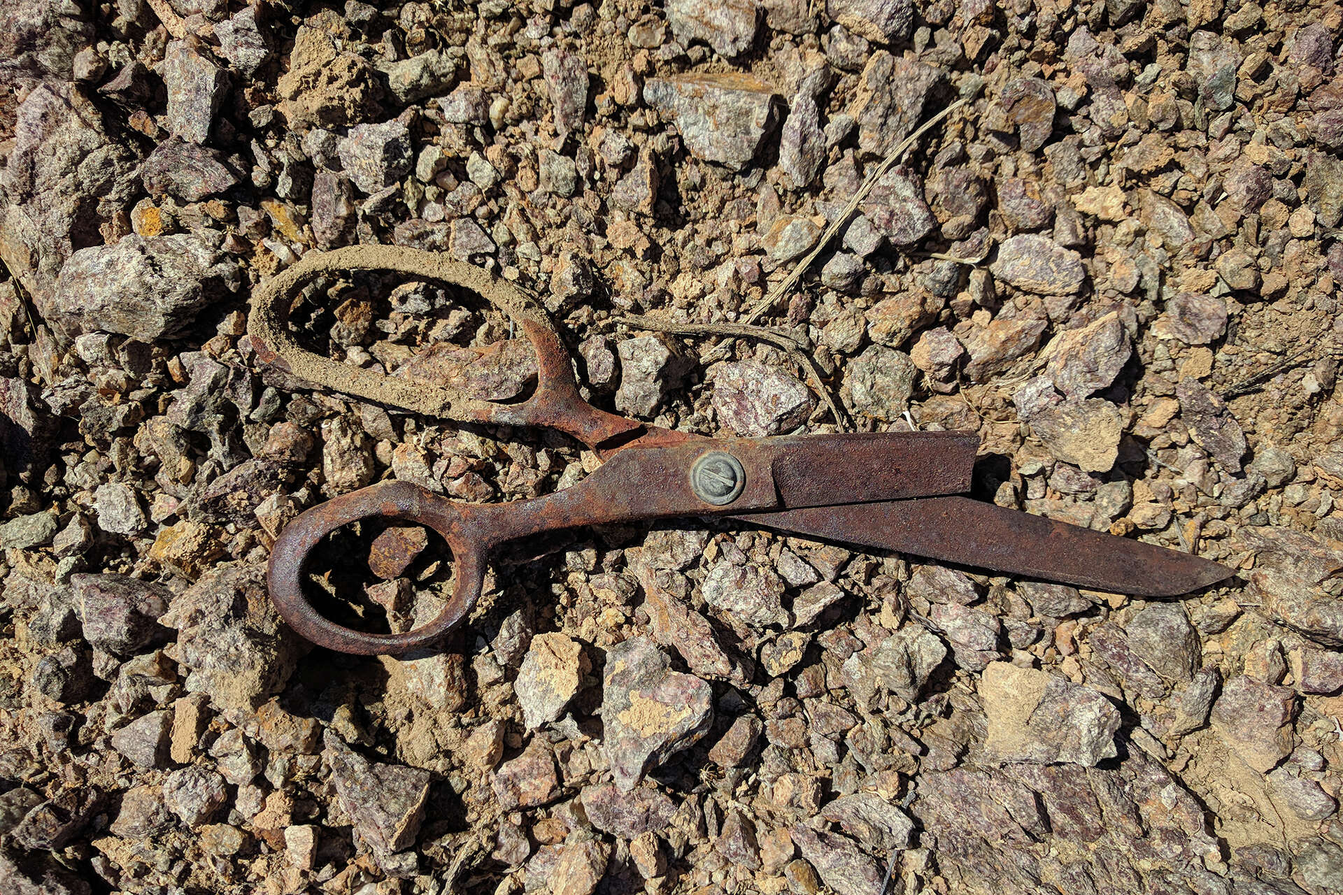 The ‘quirkiest thing’ researchers found buried in Death Valley
