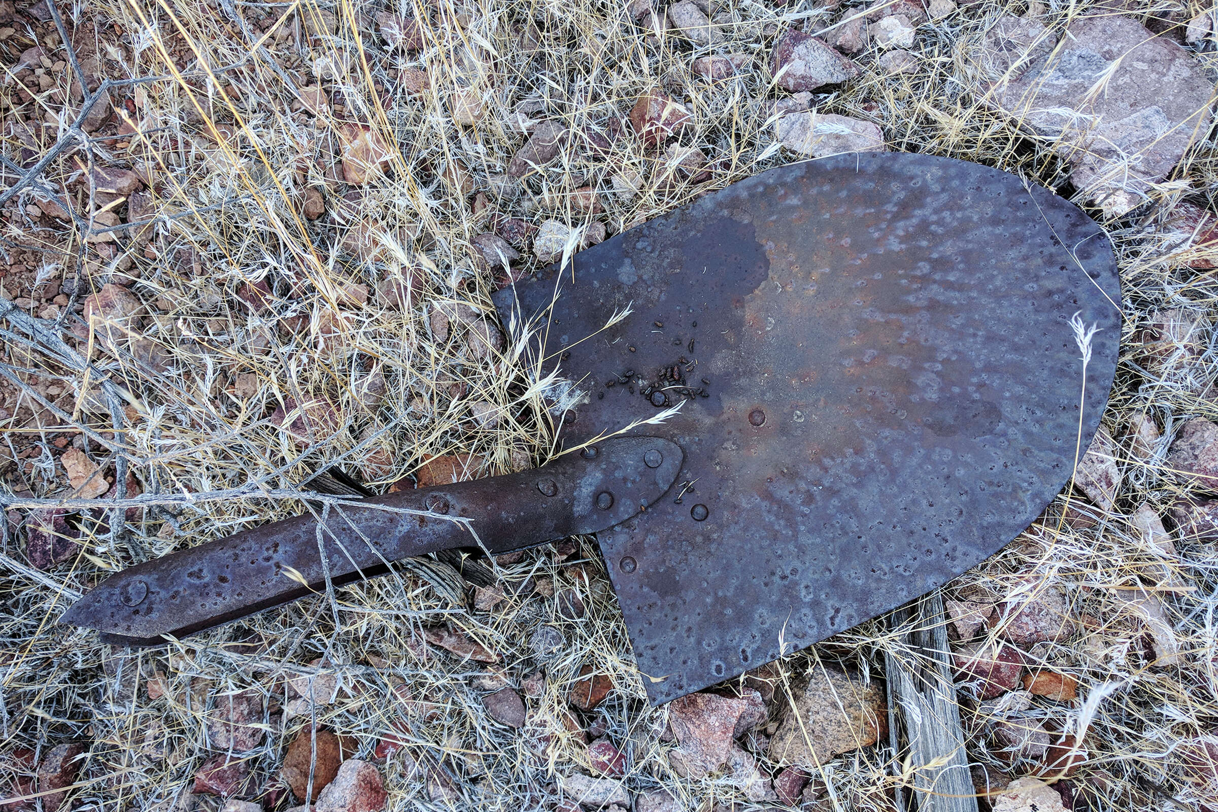 The ‘quirkiest thing’ researchers found buried in Death Valley