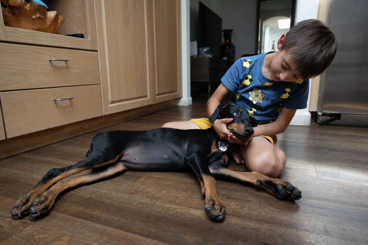 Why did a Bay Area woman’s Tesla crash at high speed into a tree?