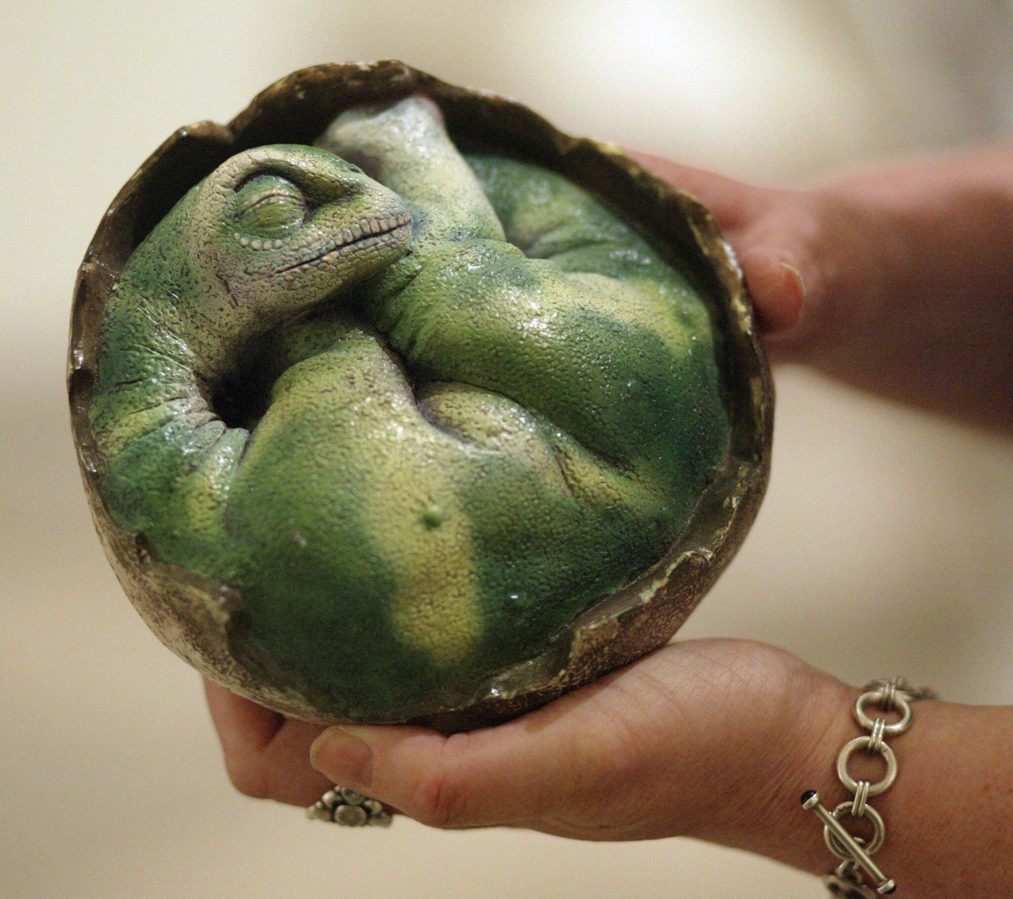 New plant-eating dinosaur species discovered in North Texas