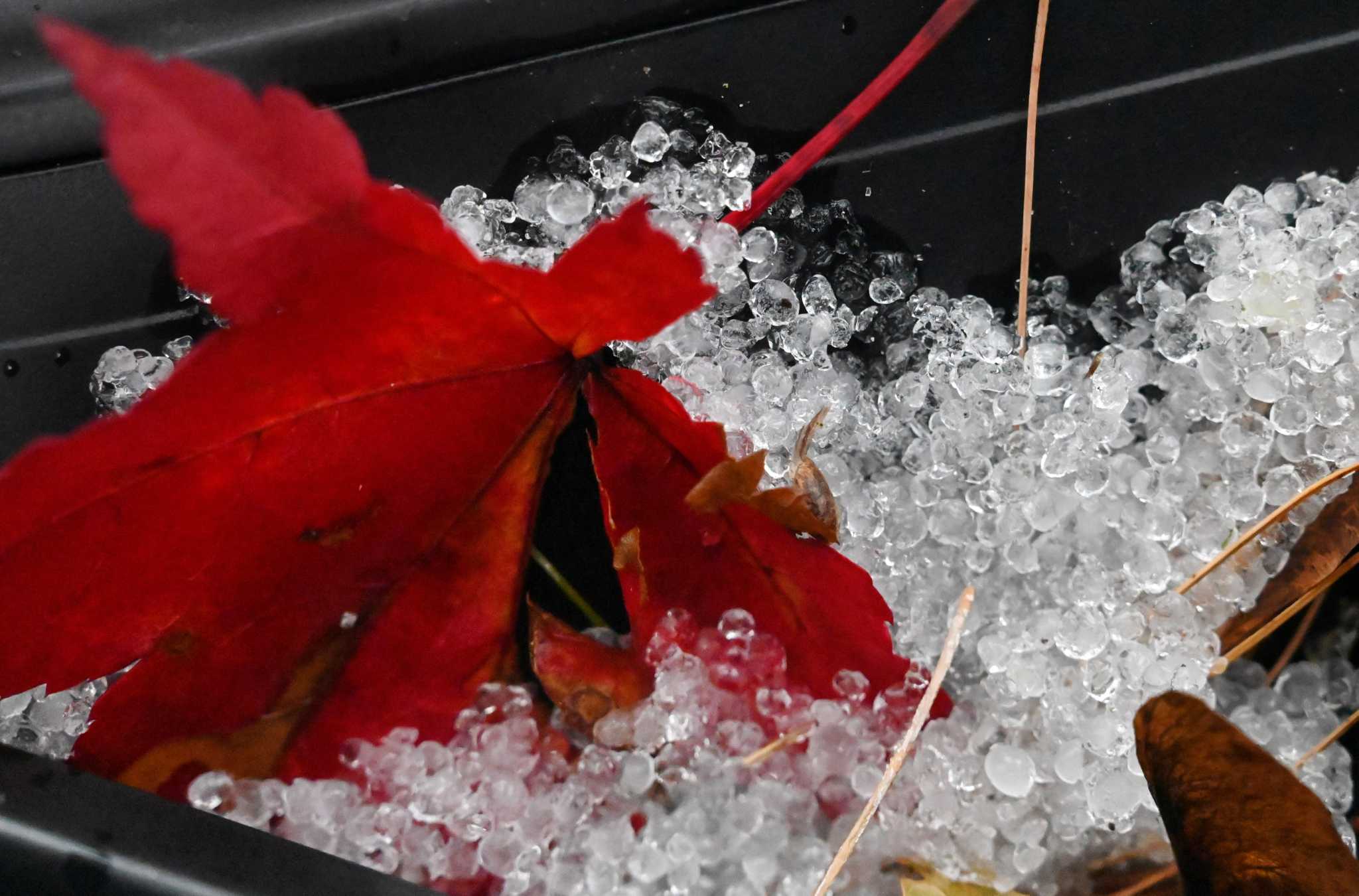 Winter weather delays school in Saratoga County, Adirondacks
