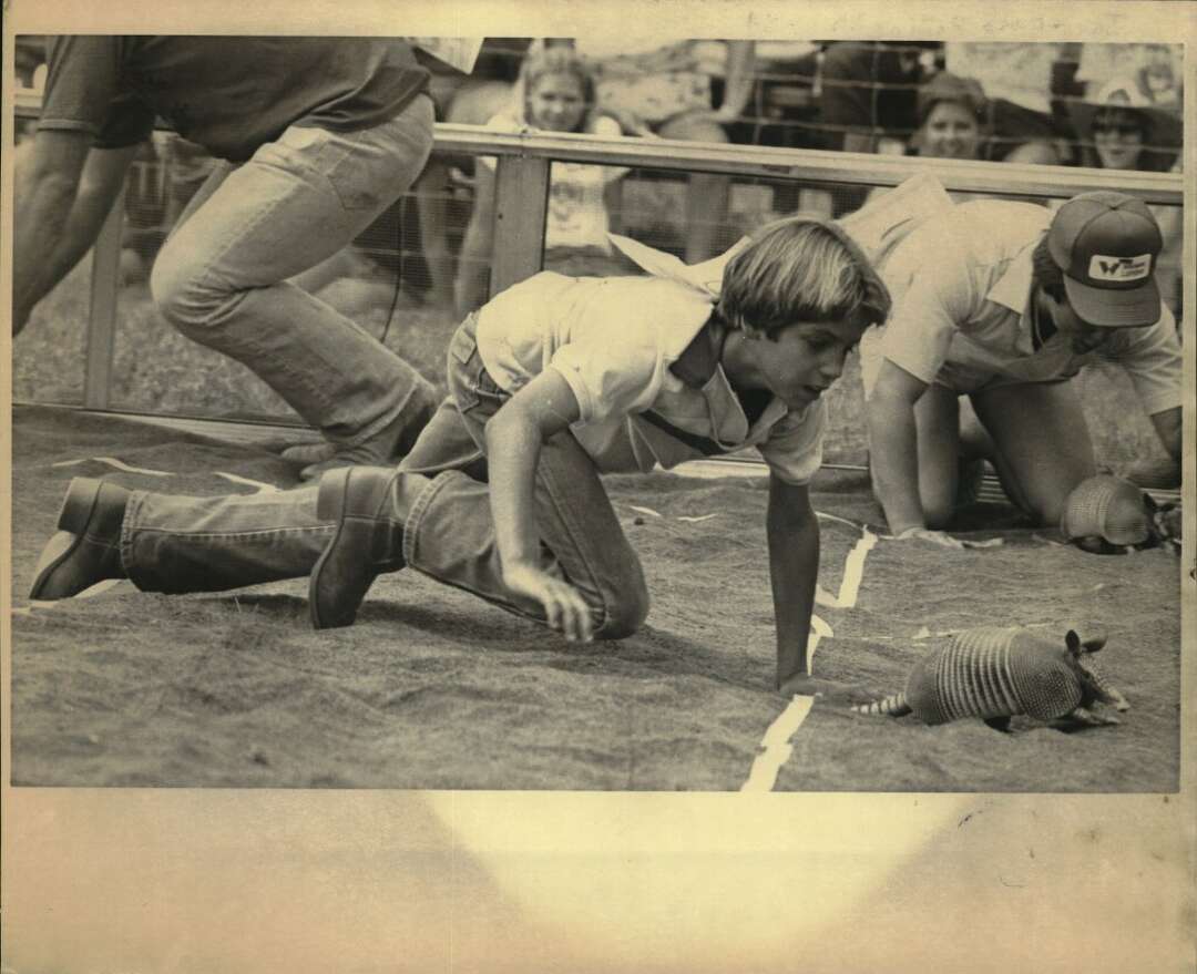 How armadillos became as iconic, controversial as Texas itself