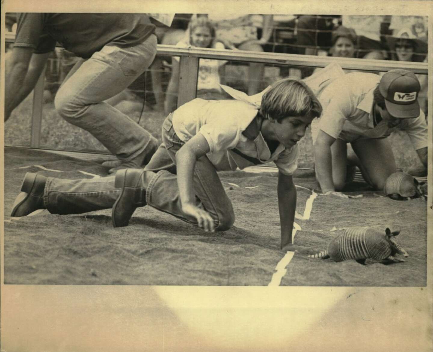 How armadillos became as iconic, controversial as Texas itself