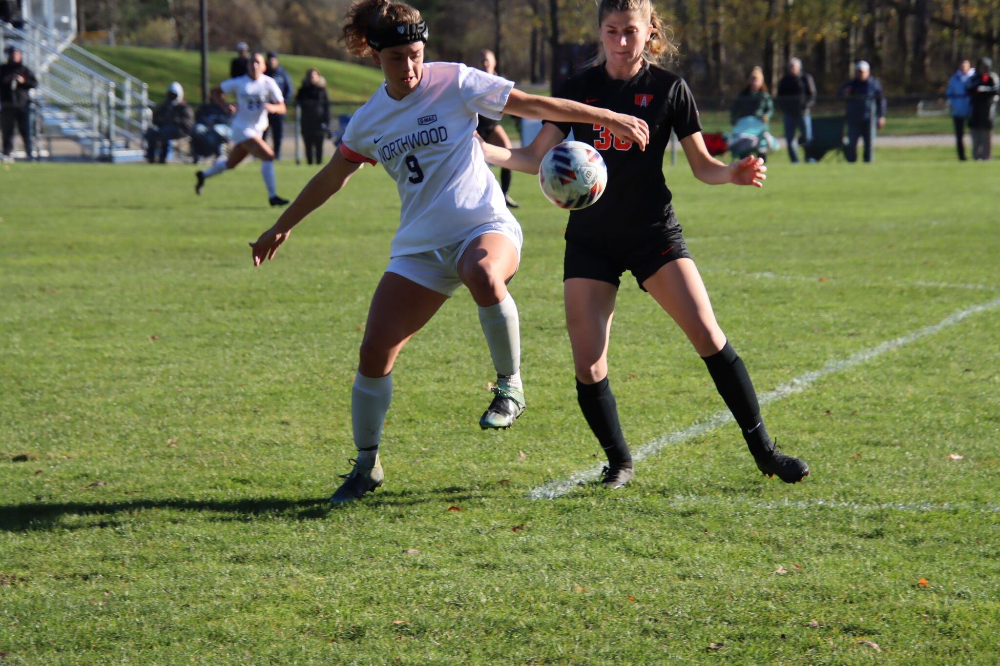 T'wolves into tourney final with win over Findlay