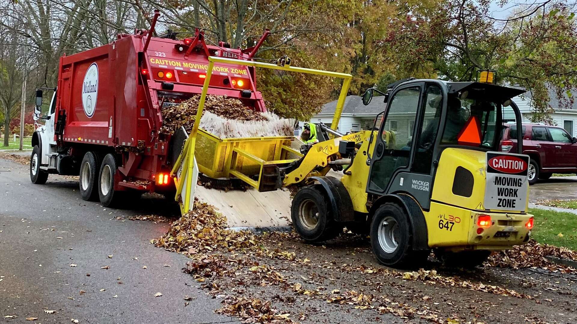 Midland leaf collection: where do leaves go, what are they used for?