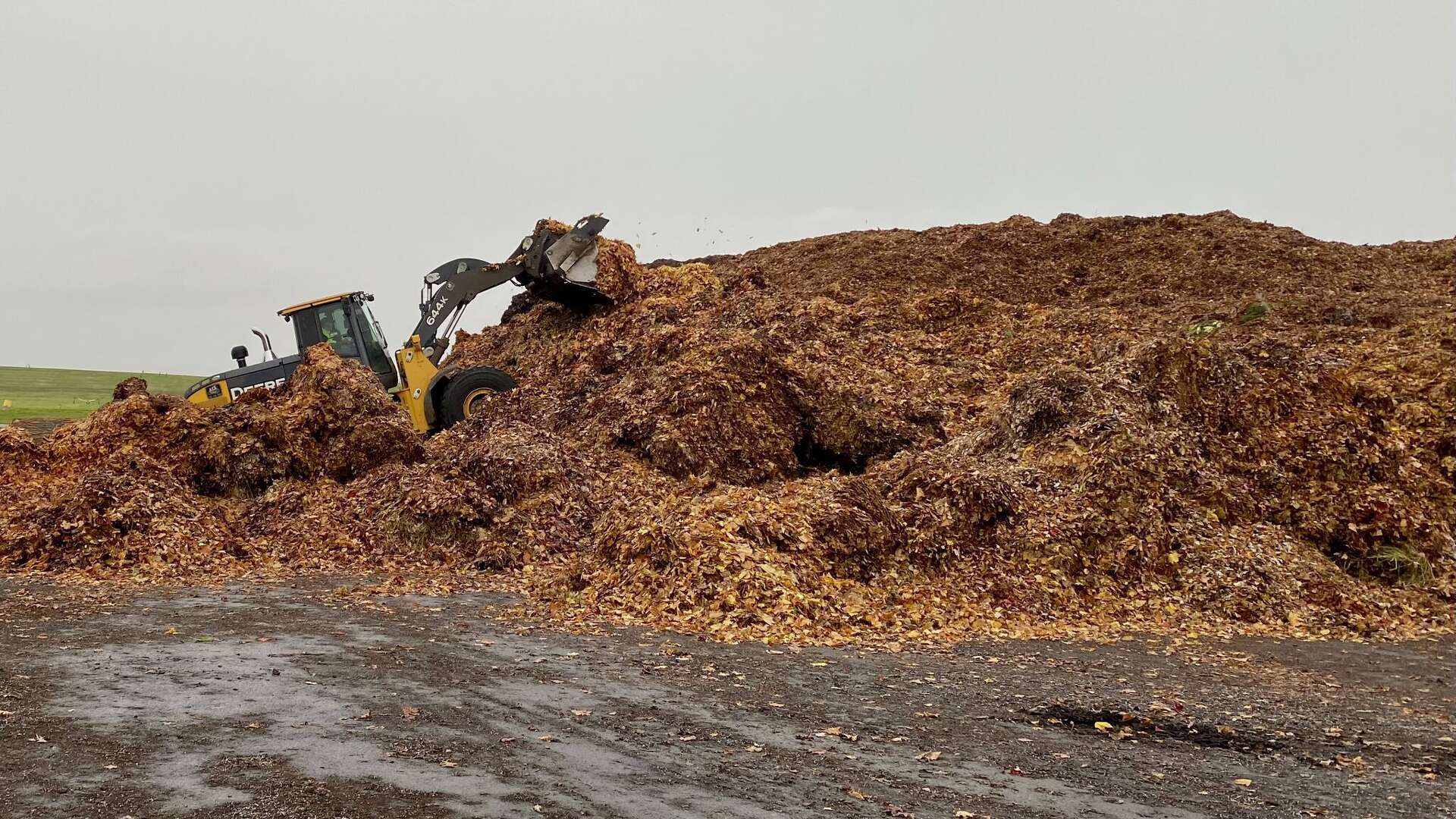 Midland leaf collection: where do leaves go, what are they used for?