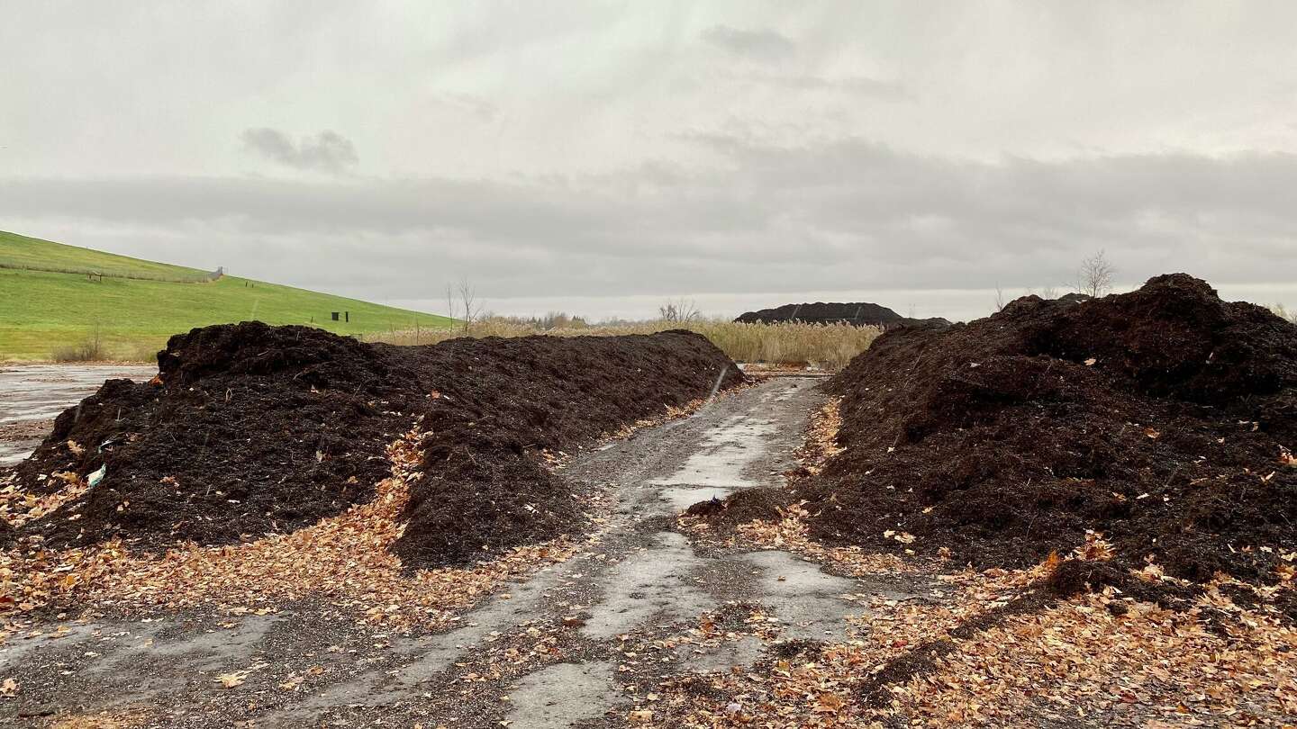 Midland leaf collection: where do leaves go, what are they used for?