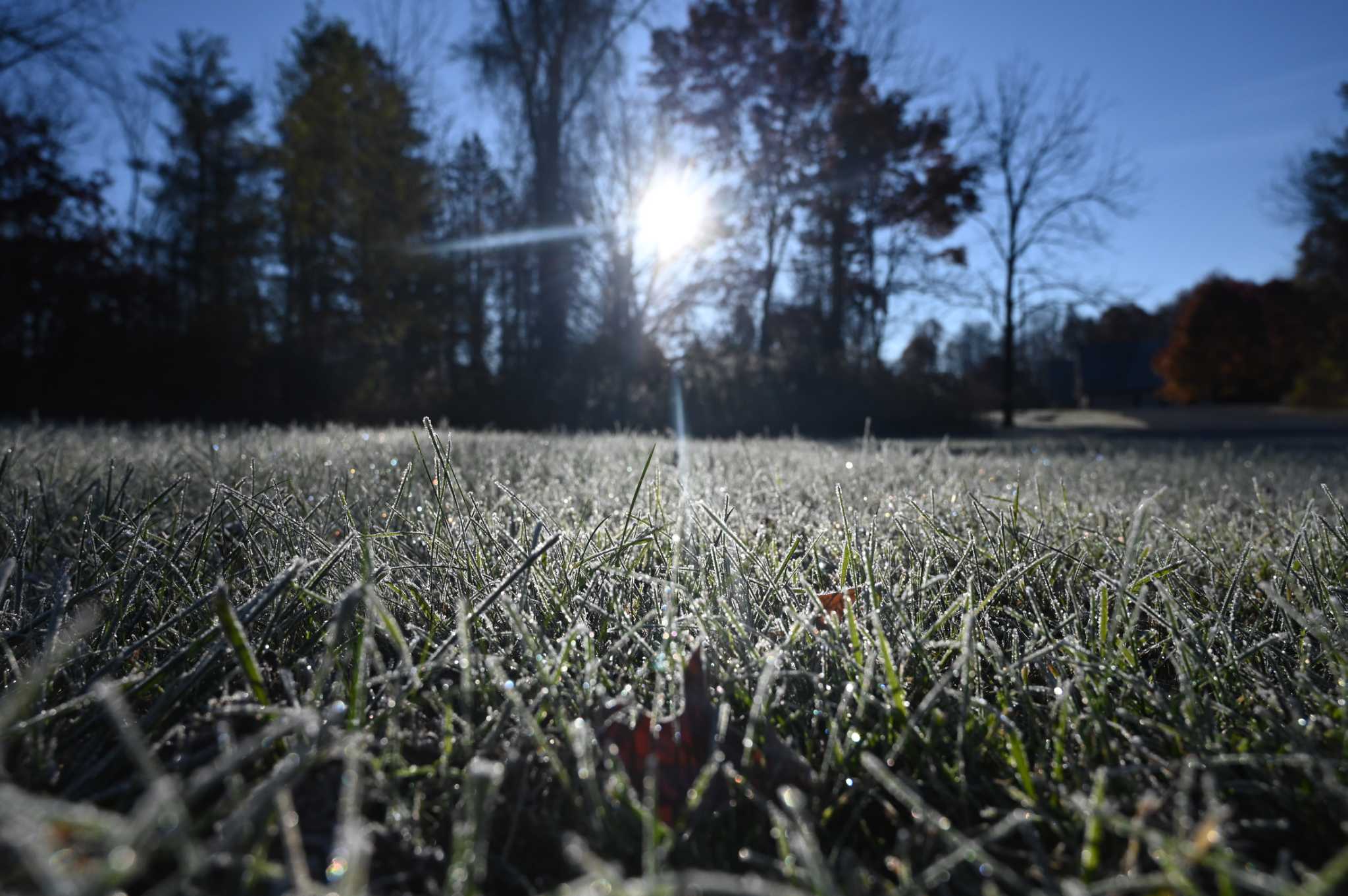 First frost hits Capital Region, Hudson Valley. Snow in Adirondacks.