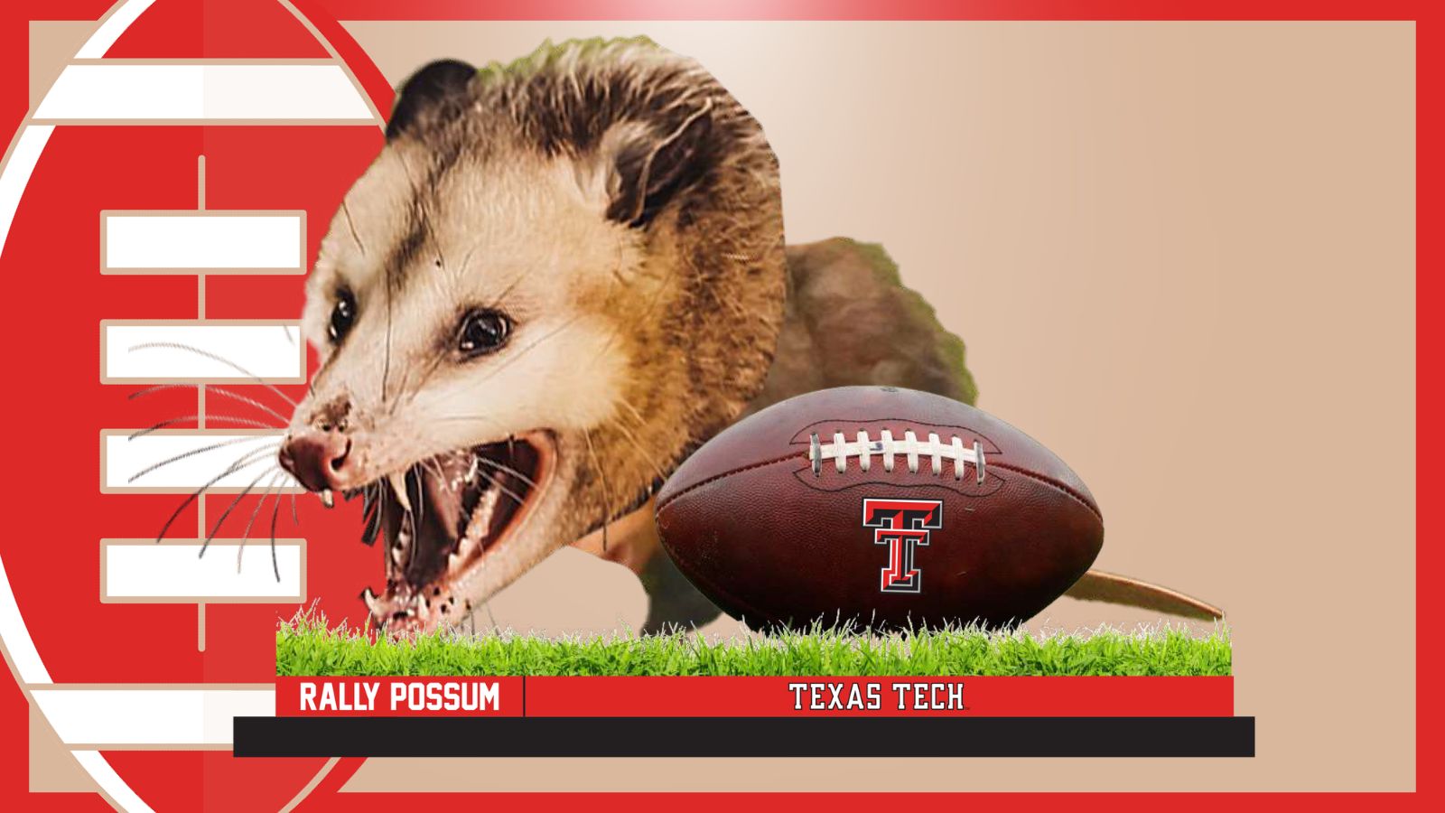 Possum that crashed Texas Tech football game honored as bobblehead