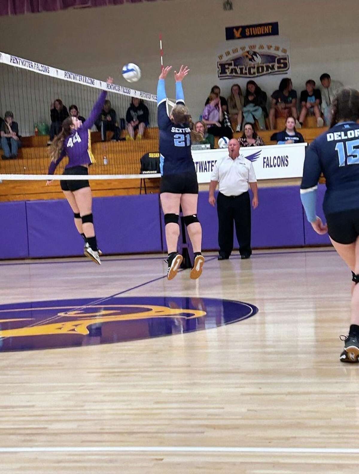 Brethren volleyball players earn All-Conference recognition