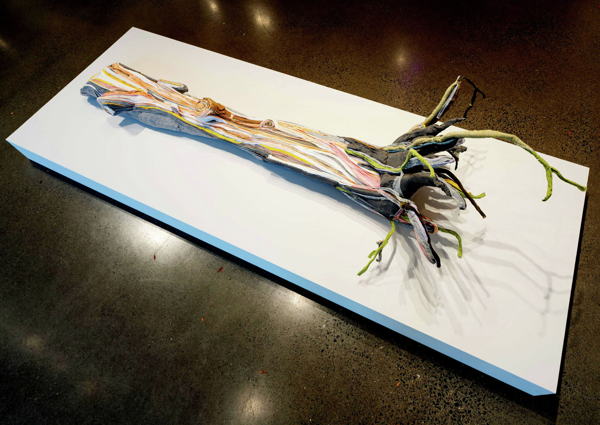 Art exhibit on trees at Schick rooted in emotion, ecology