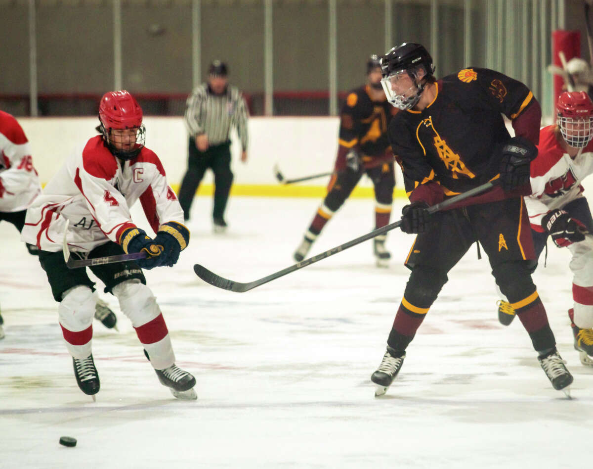 The Alton Redbirds beat EA-WR 4-1 in MVCHA action Monday