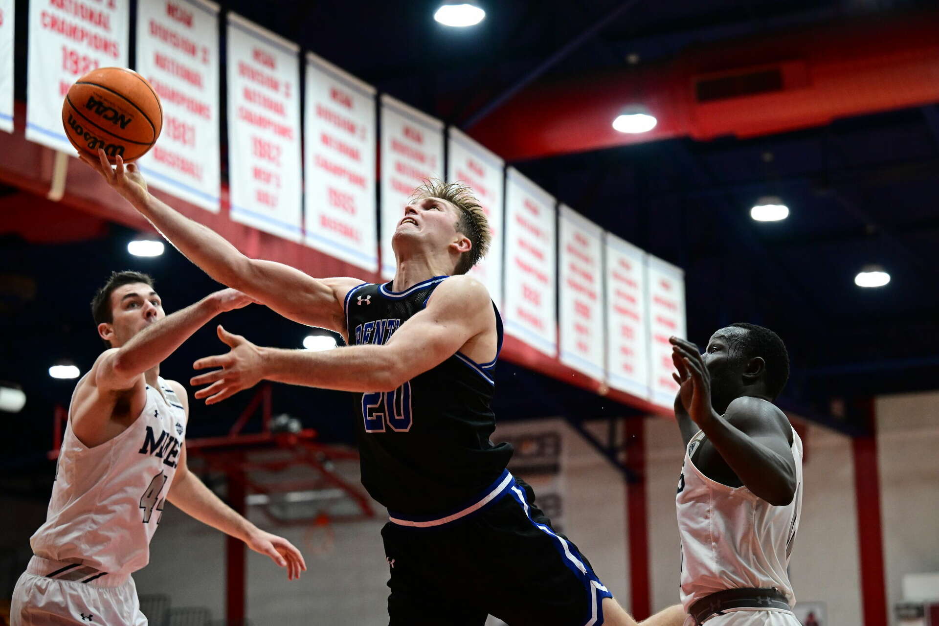 Former Notre Dame-West Haven hoop star Laput blossoming at Bentley