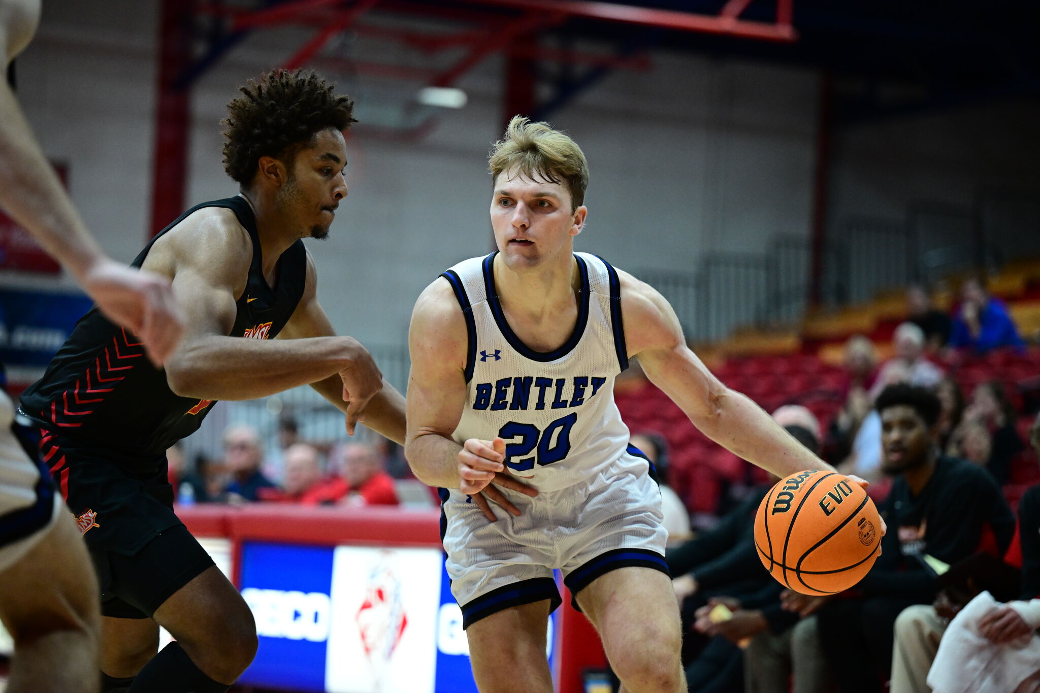 Notre Dame-West Haven alum to play Division I basketball at Davidson.