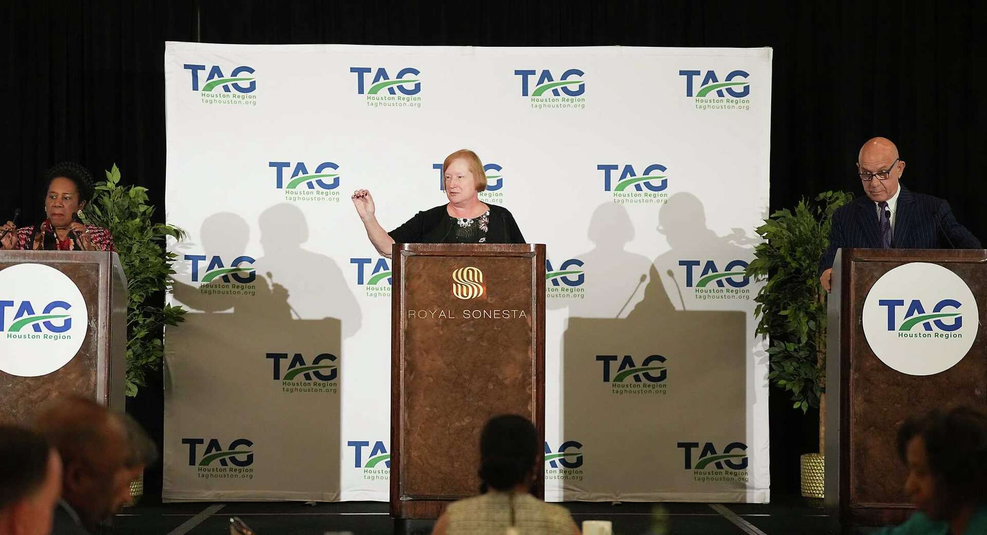 Whitmire, Jackson Lee forge differing paths on Houston transportation