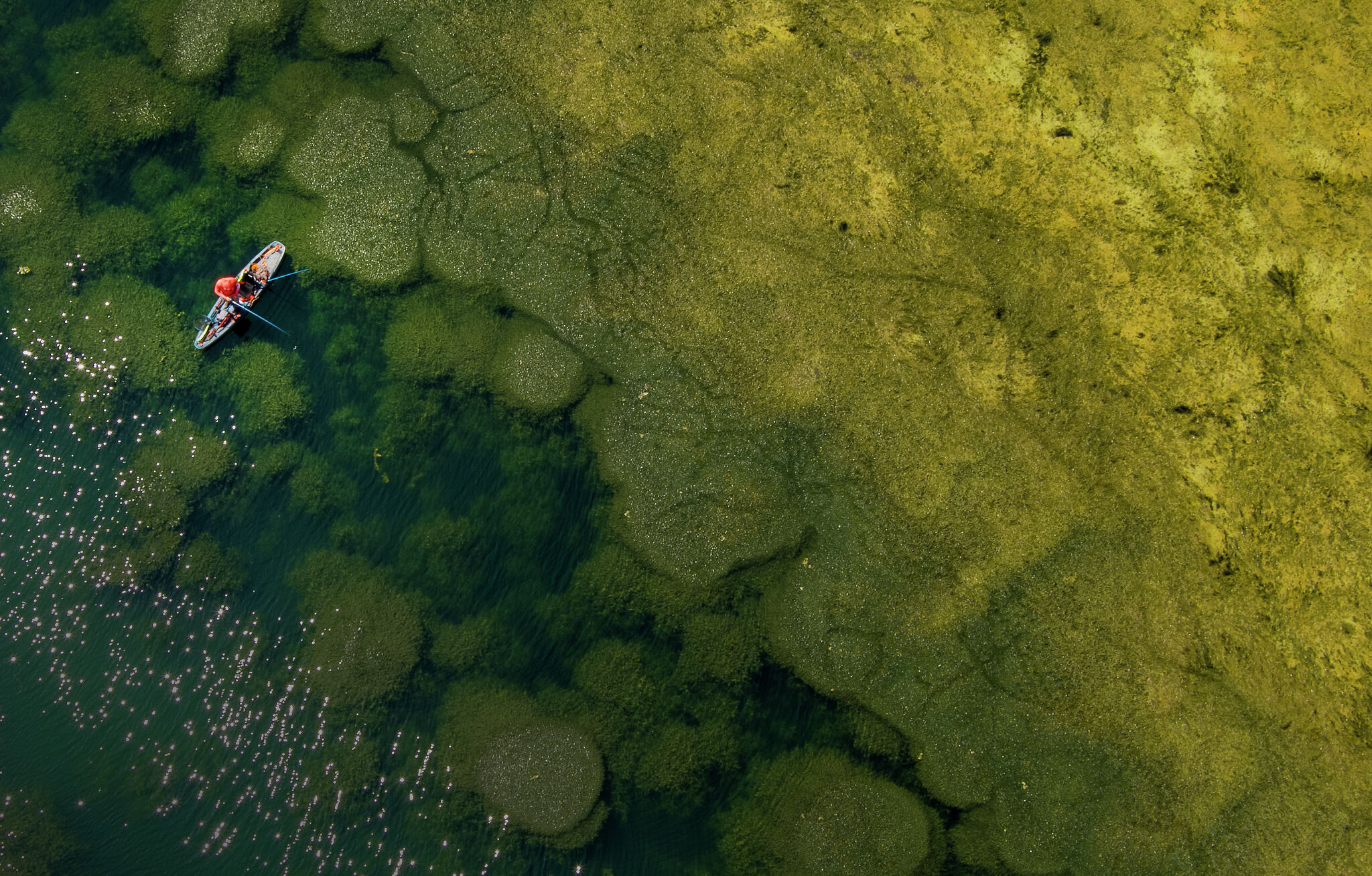Texas education board opposes climate change language in new textbooks