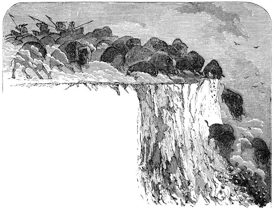 What is a bison jump? Texas officials just discovered one