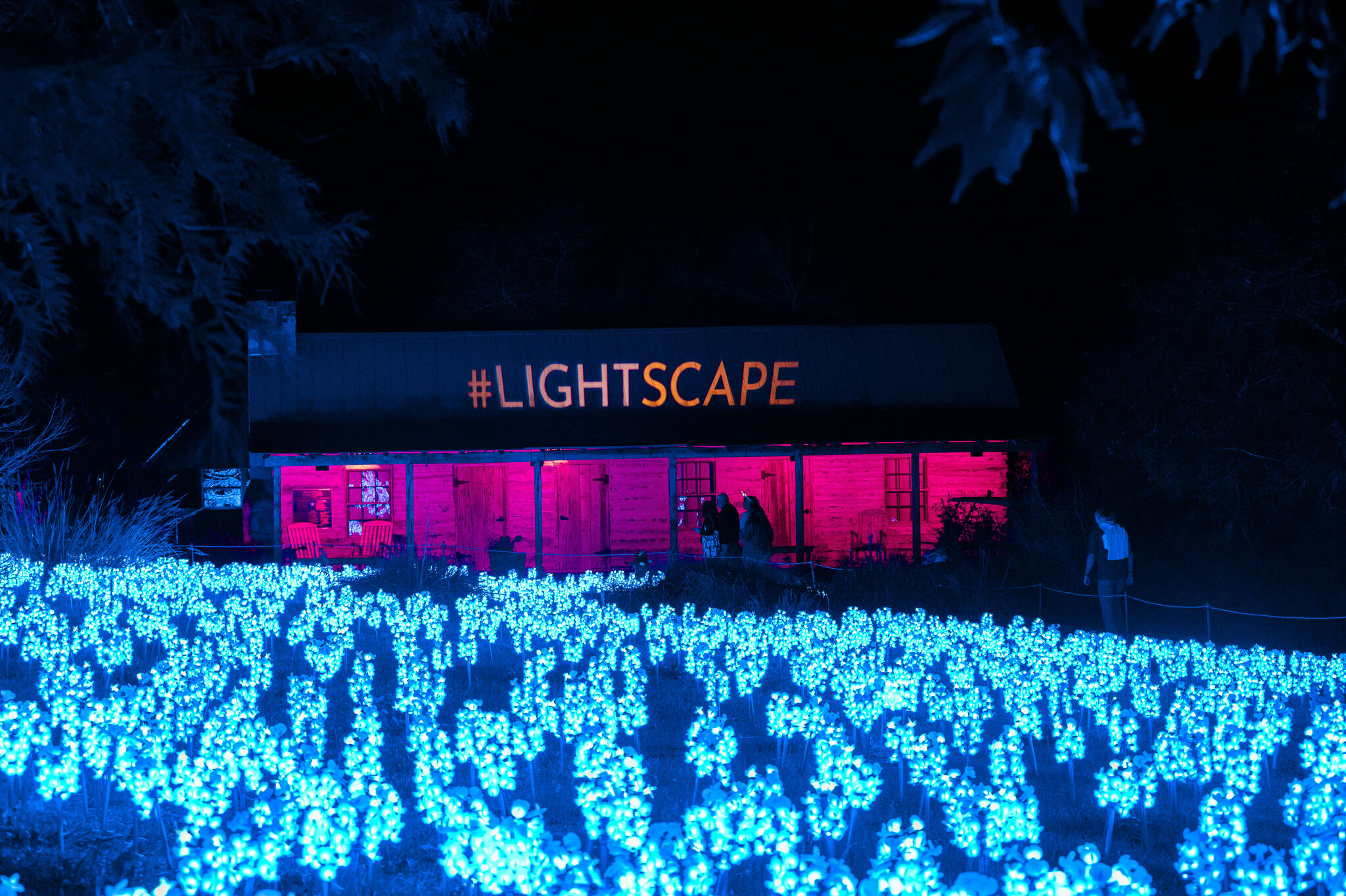 Things to know about Lightscape at San Antonio Botanical Garden