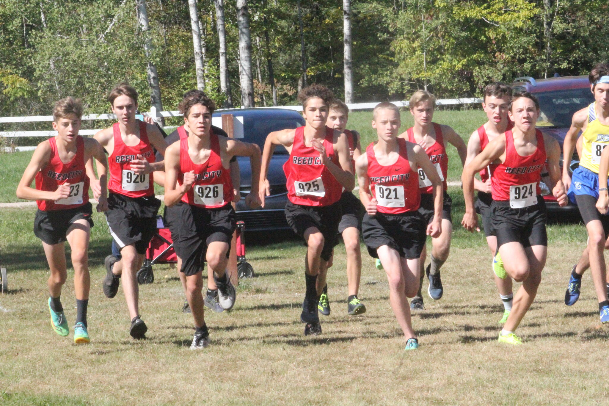 Reed City boys cross country: regional champs and 4th in state