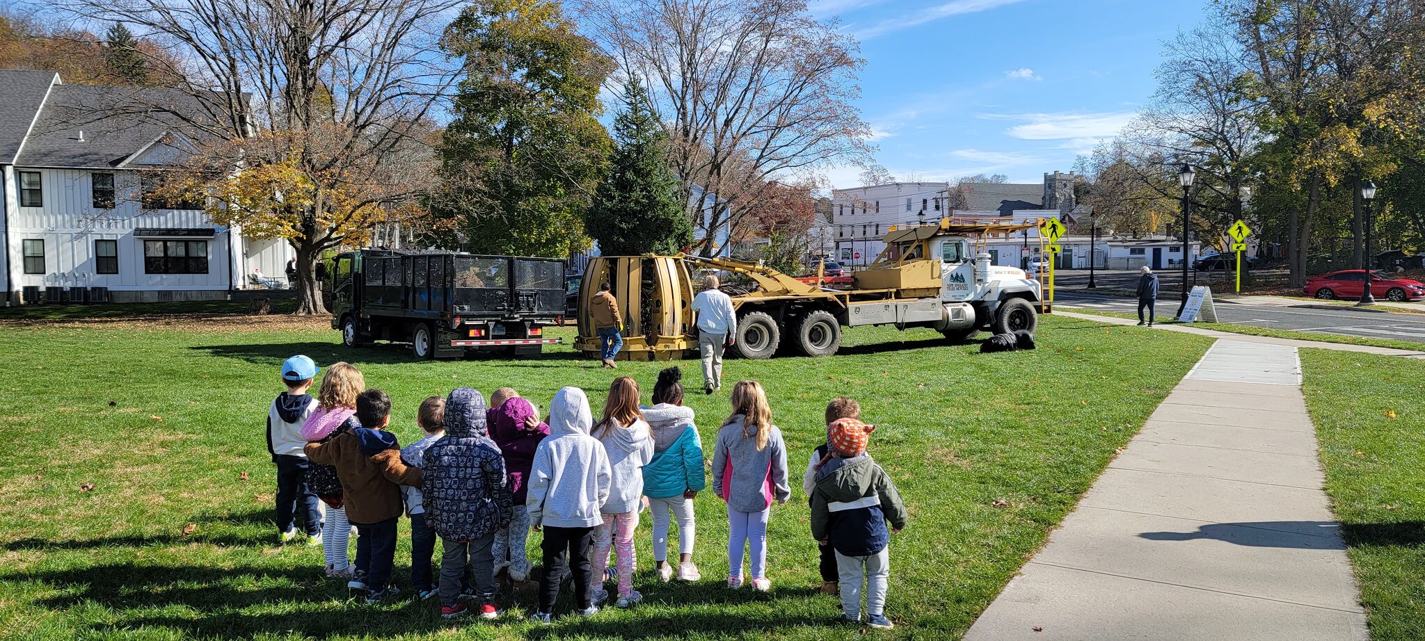 Bethel plants new tree in time for annual lighting at Winterfest