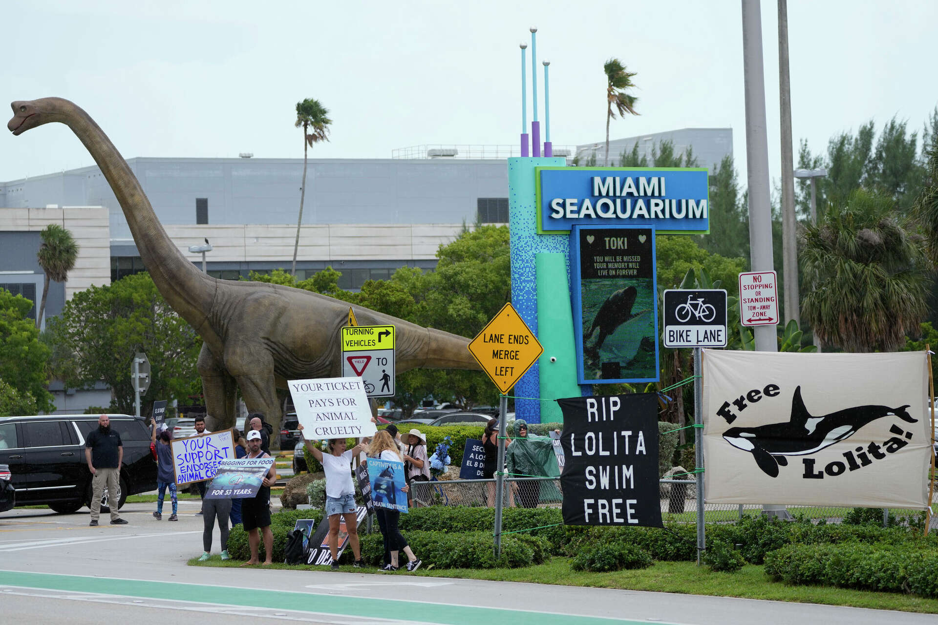 Kelly Slater pleas to free isolated manatee Romeo at Florida aquarium
