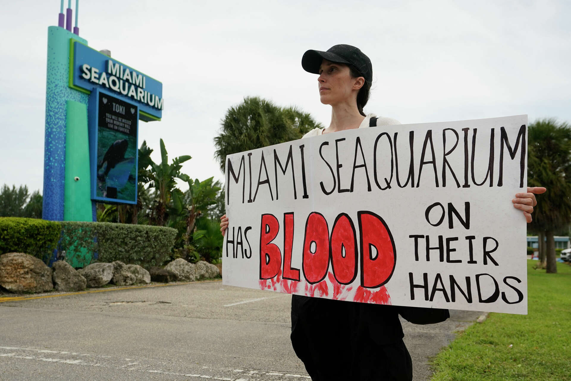 Kelly Slater pleas to free isolated manatee Romeo at Florida aquarium