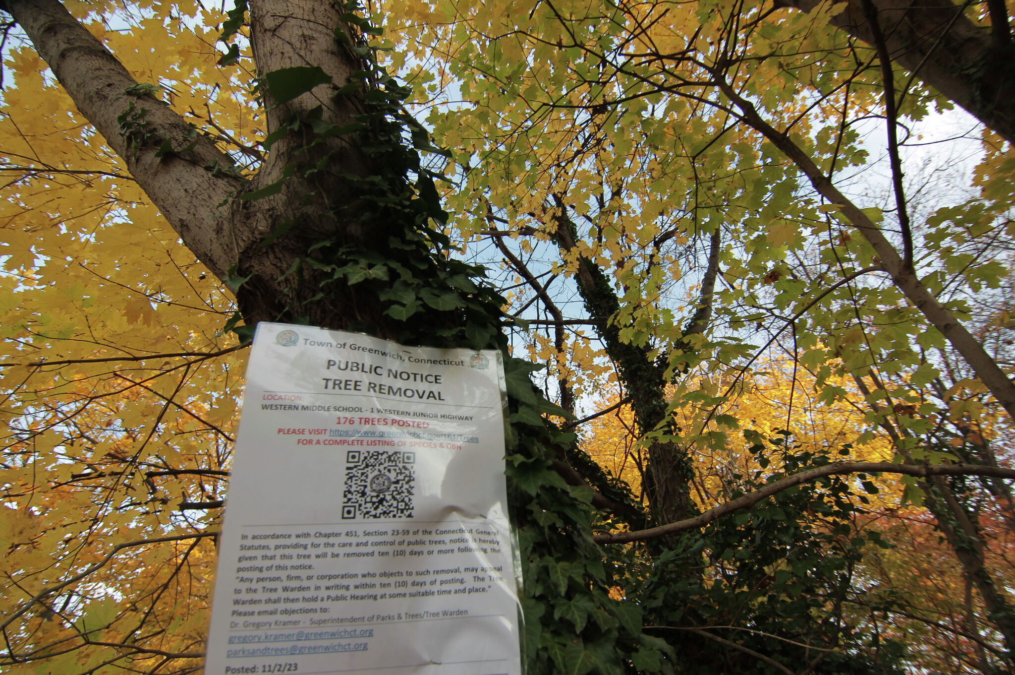 Western Middle School's field project means removal of 176 trees