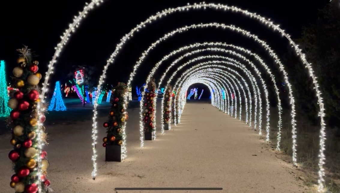 Jones Christmas Ranch in Boerne benefits foster children