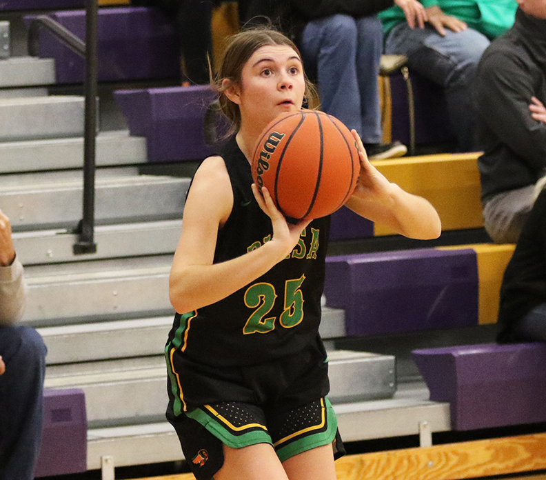 FRIDAY GIRLS BASKETBALL: Birds play for third; Alton, CM win