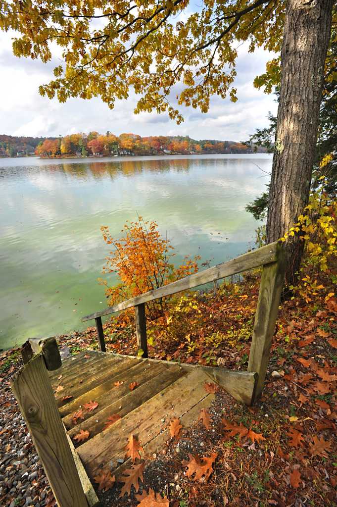 From fog to glorious fall day