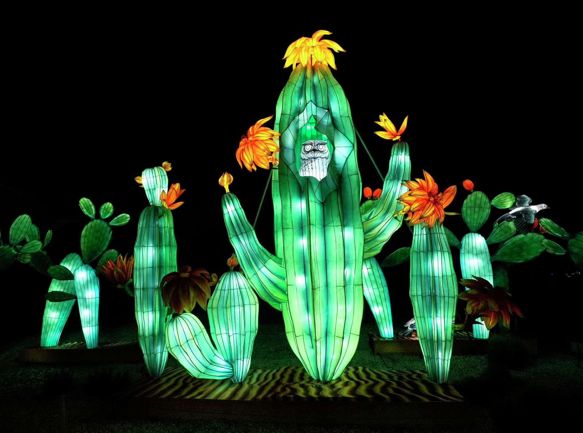 See inside Radiant Nature at Houston Botanic Garden, holiday lights