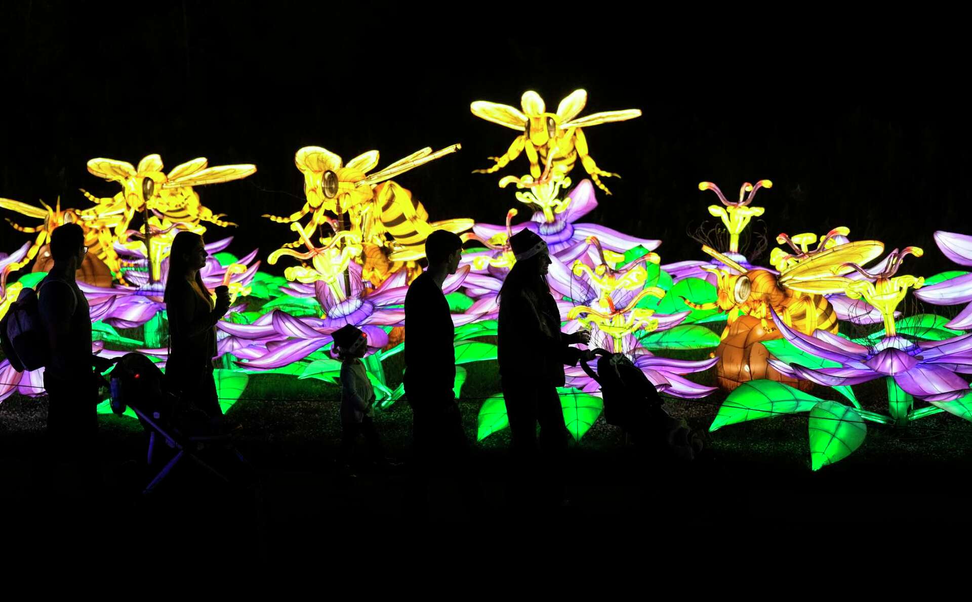 See inside Radiant Nature at Houston Botanic Garden, holiday lights