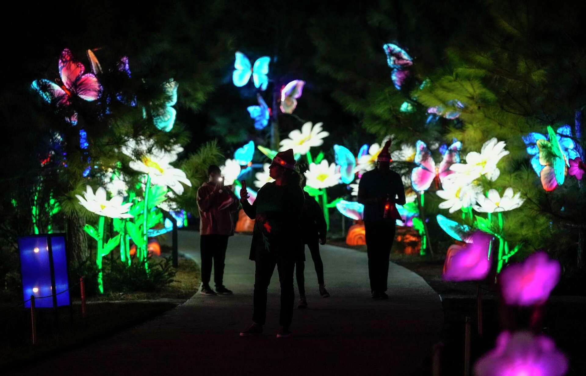 See inside Radiant Nature at Houston Botanic Garden, holiday lights