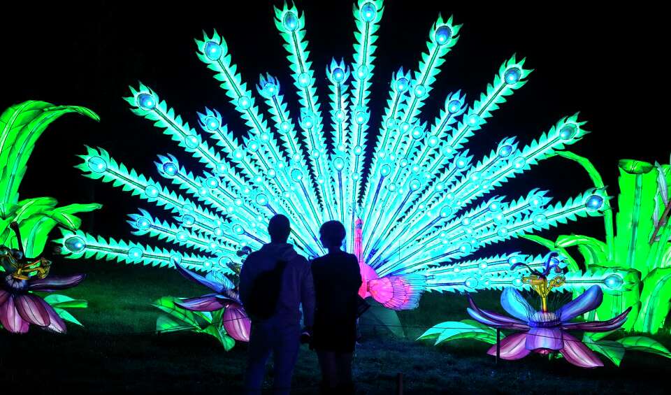 See inside Radiant Nature at Houston Botanic Garden, holiday lights