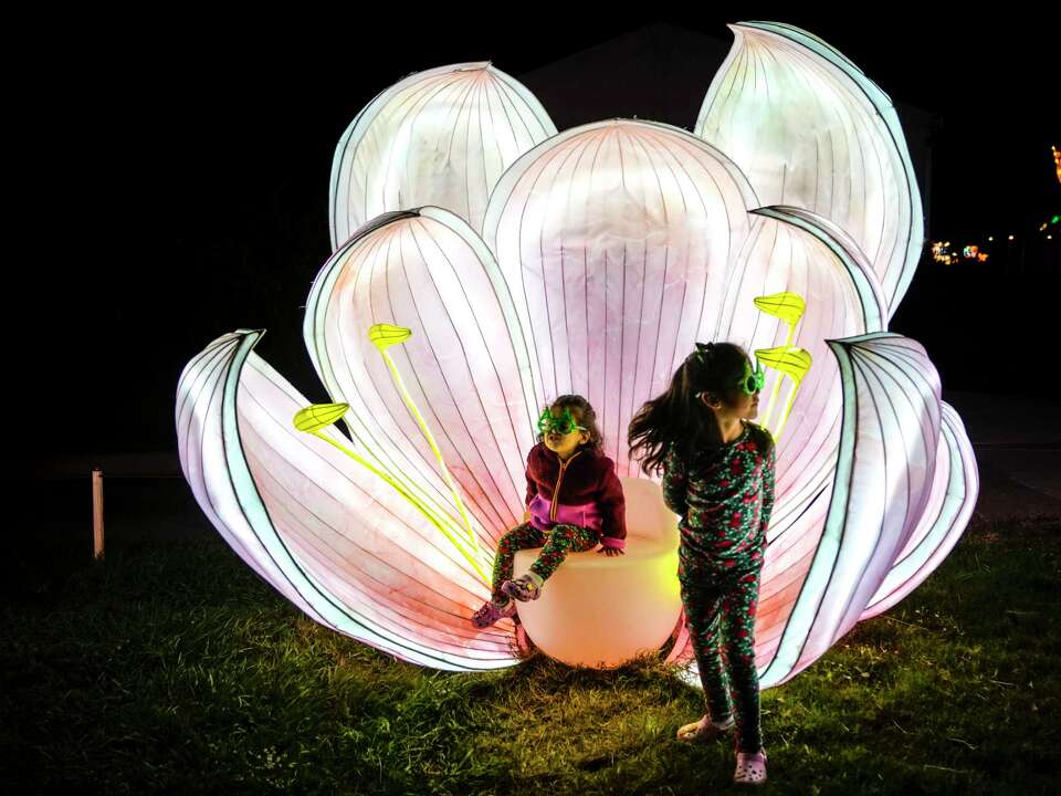 See inside Radiant Nature at Houston Botanic Garden, holiday lights