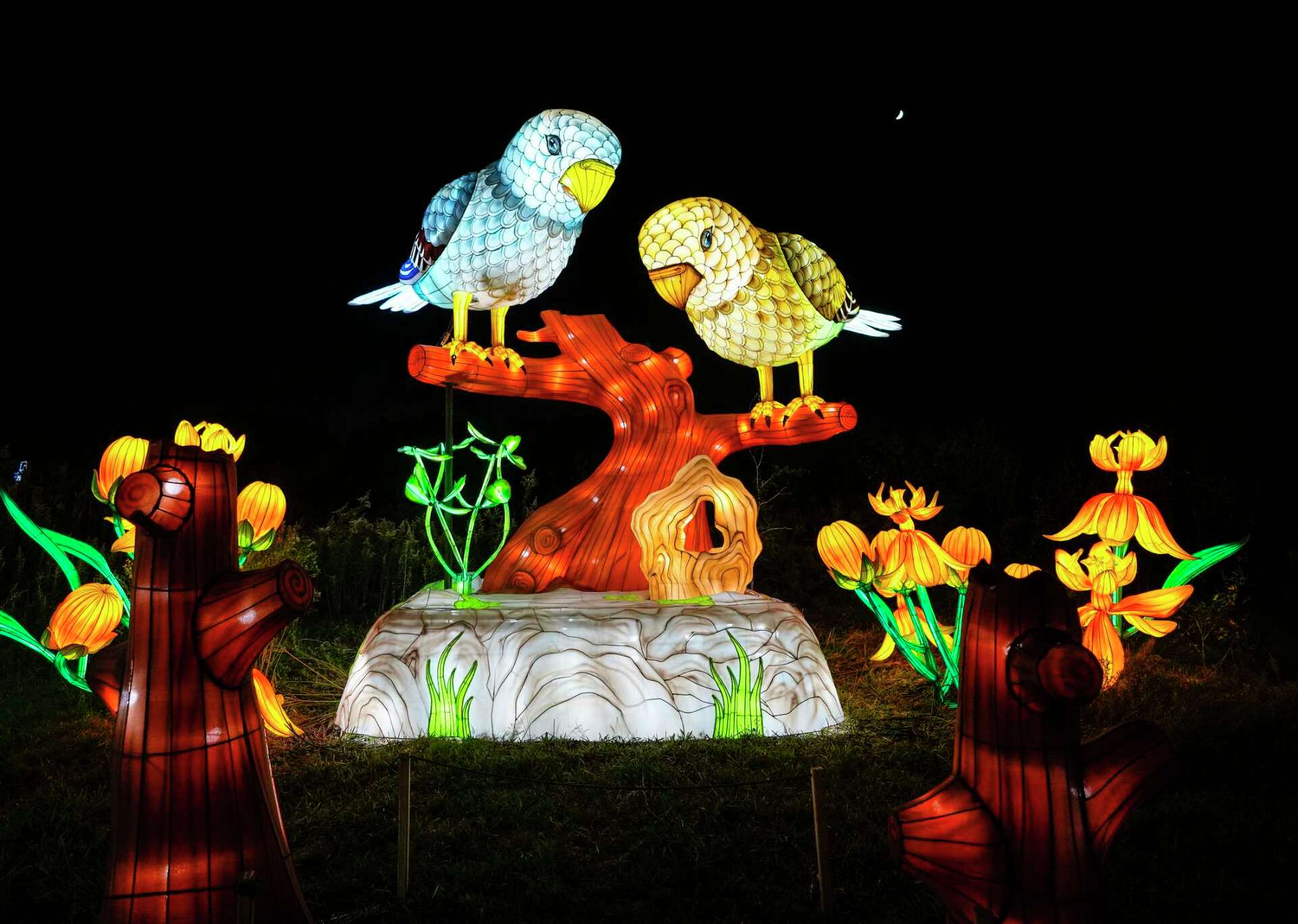 See inside Radiant Nature at Houston Botanic Garden, holiday lights