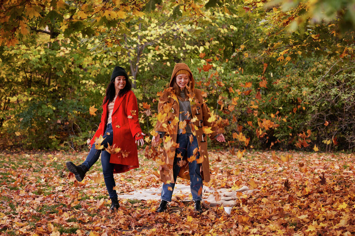 Why do we fall for fall every year? — Jase Graves