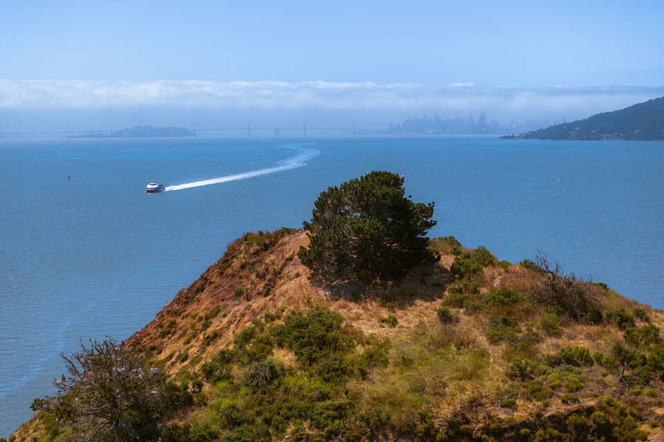The San Francisco Bay's Red Rock Island is for sale for $25M