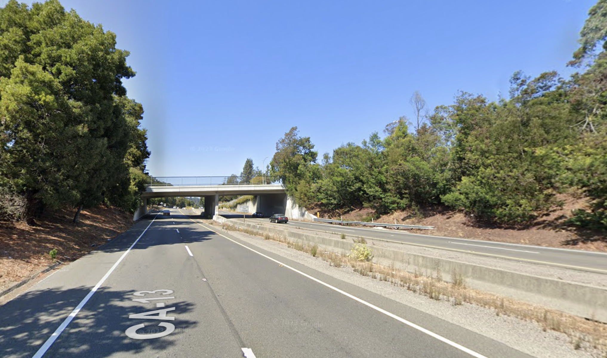 Pedestrian killed in collision on State Route 13