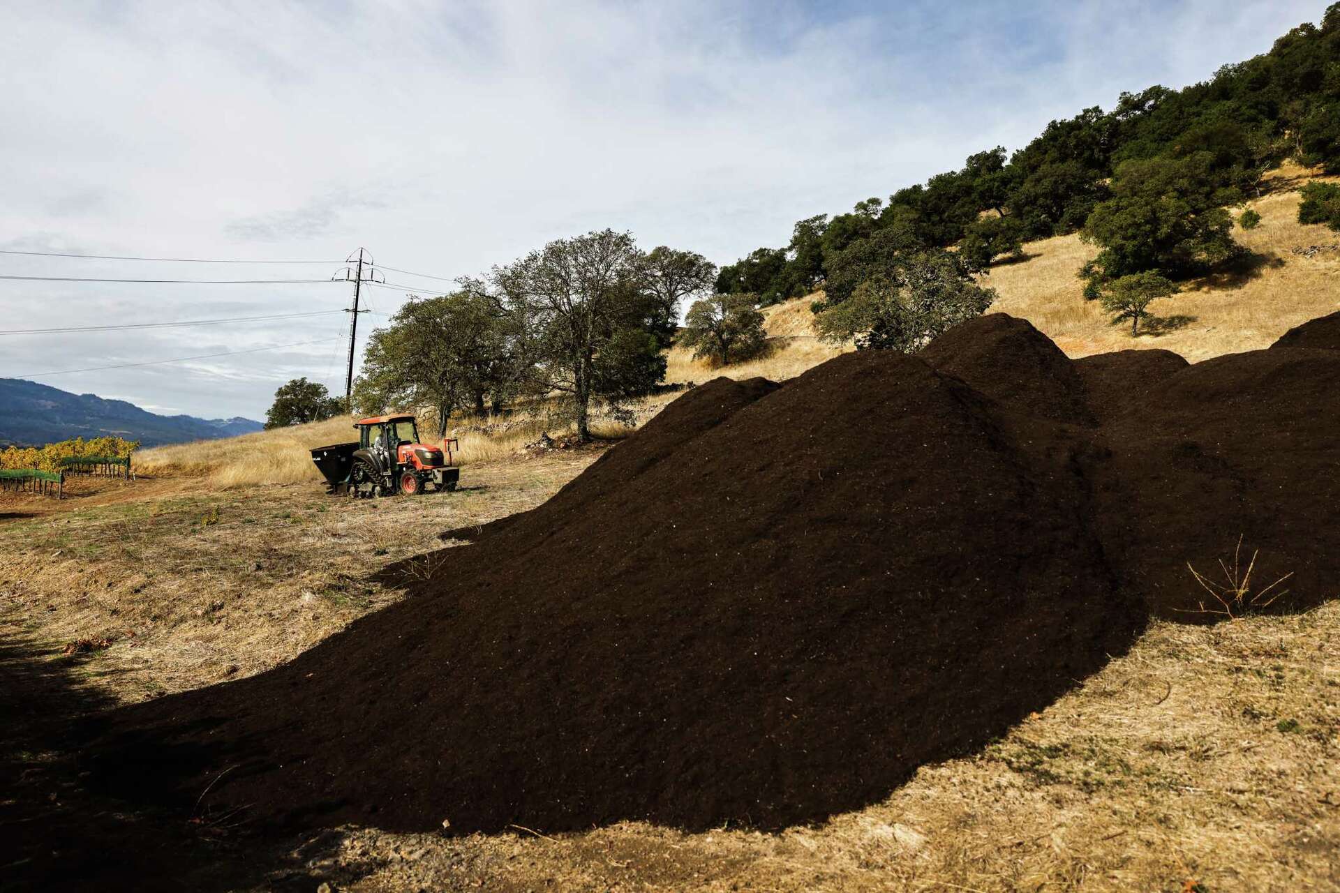 Nine ways you’re composting wrong, according to SF Bay Area experts
